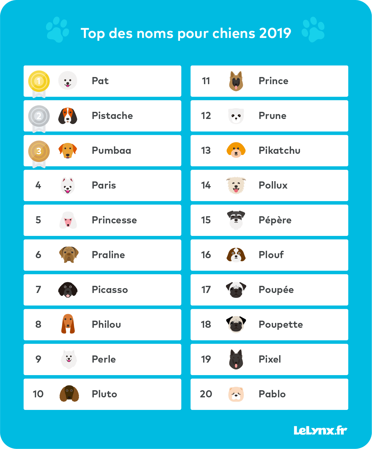 Chiens Chats Les Noms Les Plus Donn s En 2019 LeLynx fr
